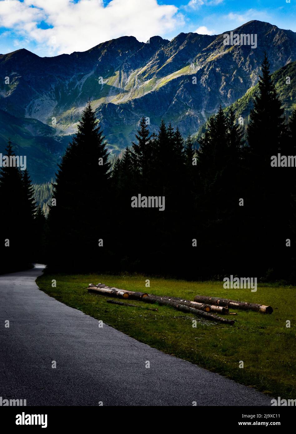 nature background hills behind the dark forest Stock Photo - Alamy