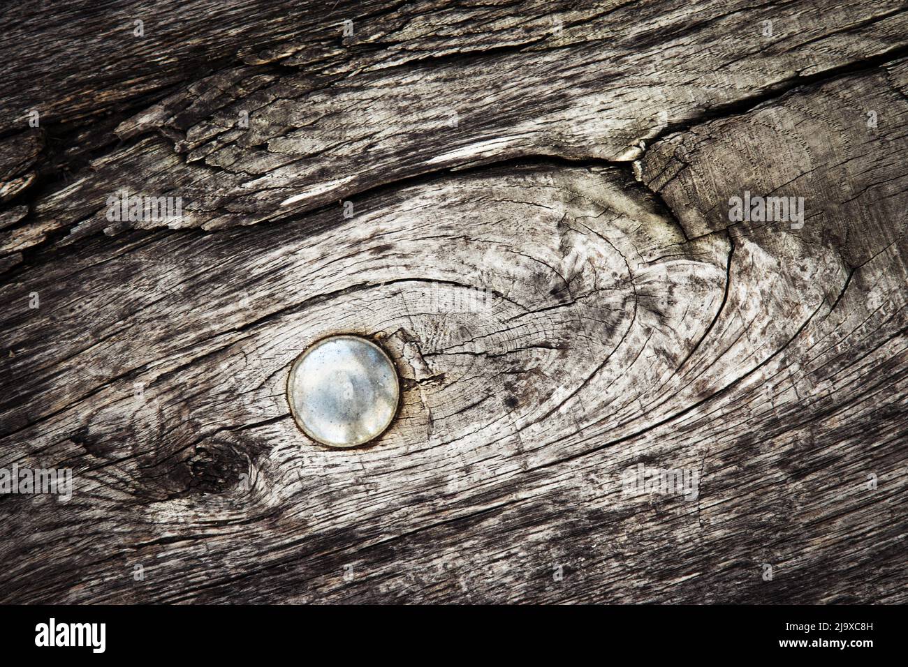 background or texture iron thread in old wood Stock Photo - Alamy