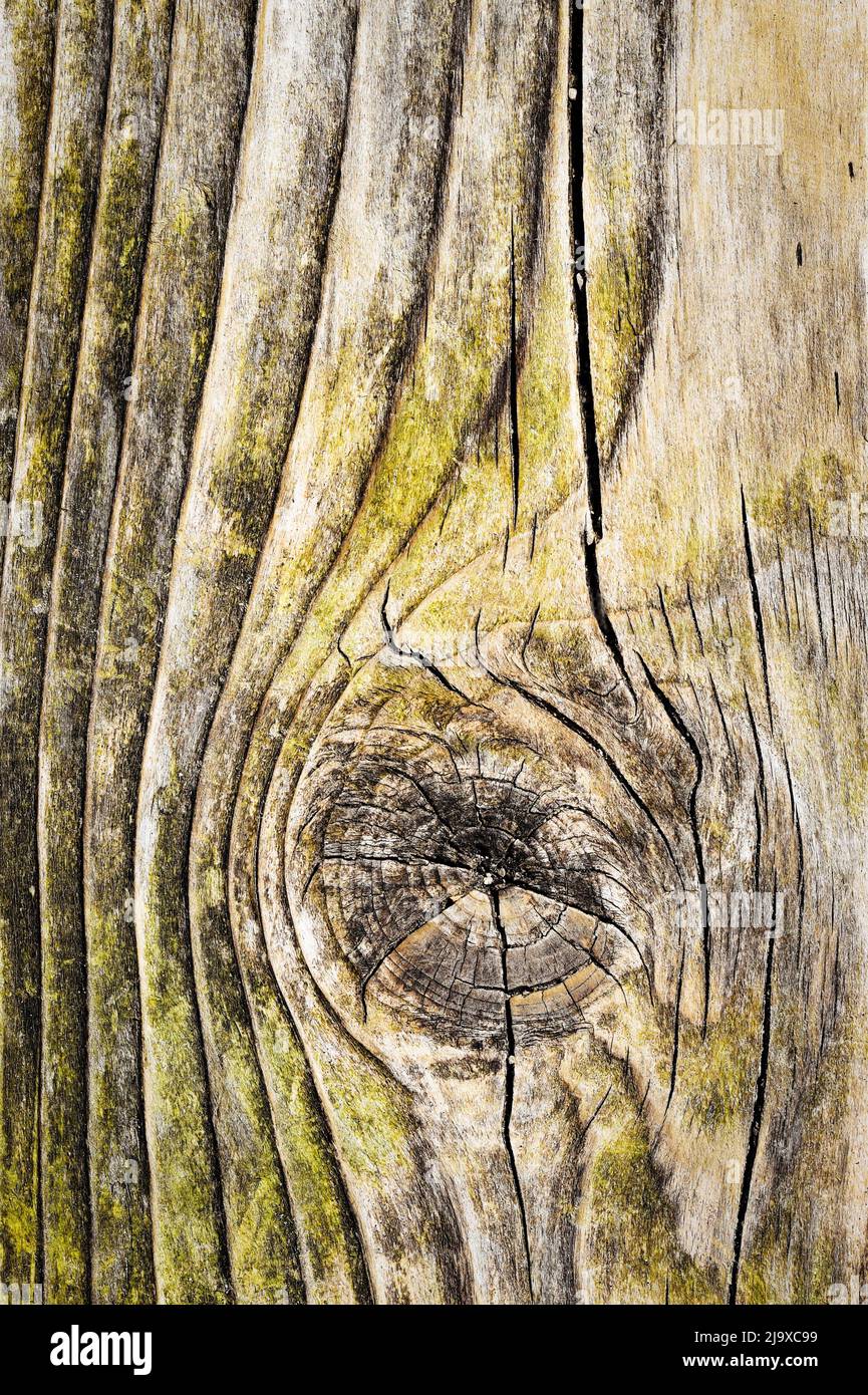 Texture knot hi-res stock photography and images - Alamy