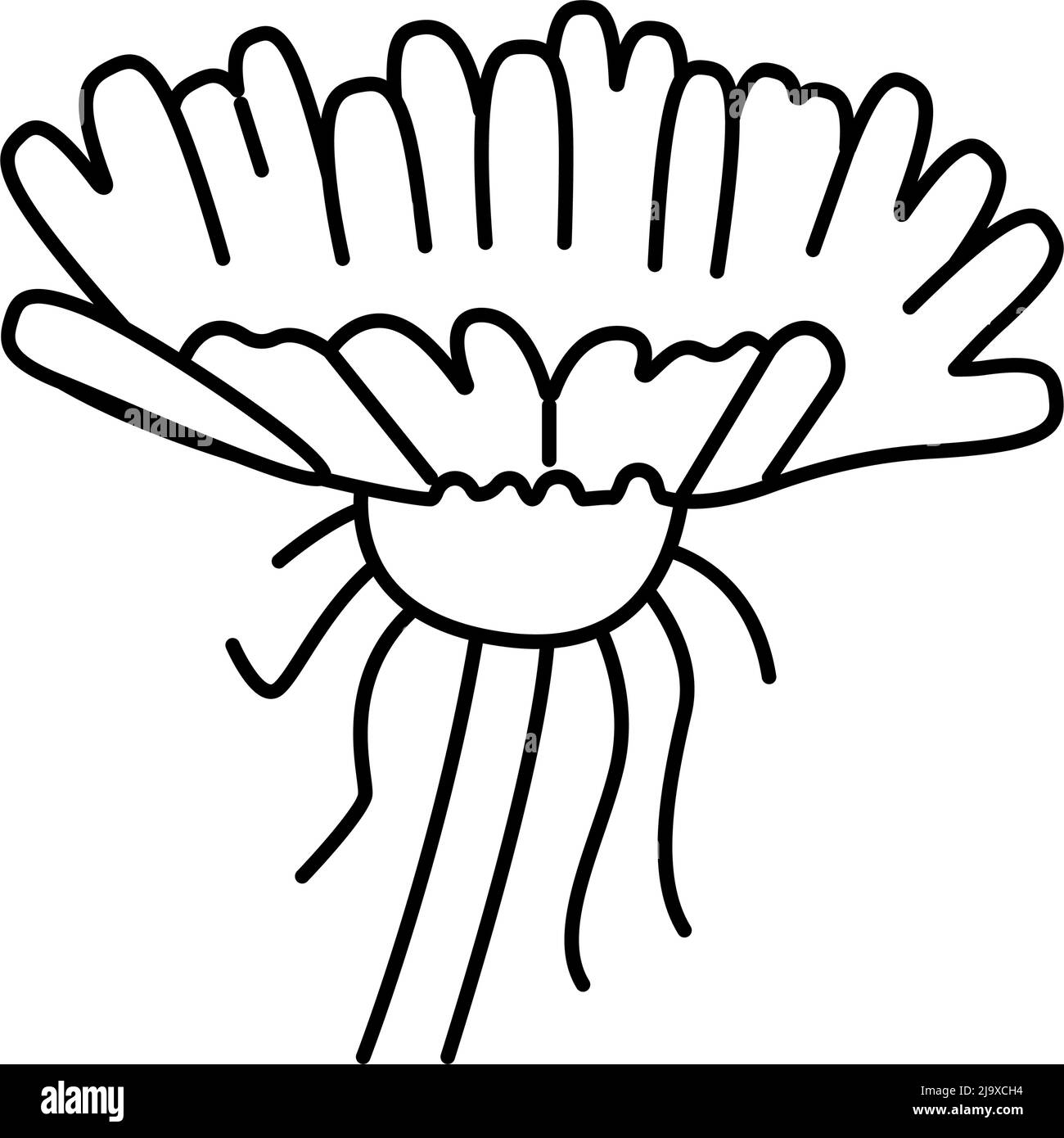 dandelion flower bud line icon vector illustration Stock Vector Image ...