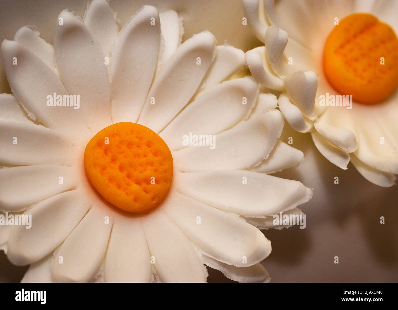 food background candy marzipan white daisy Stock Photo - Alamy