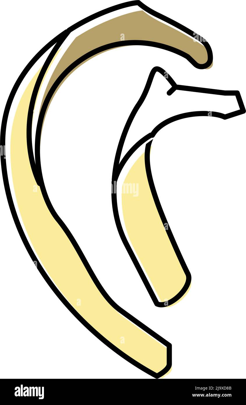 rib bone color icon vector illustration Stock Vector Image & Art - Alamy