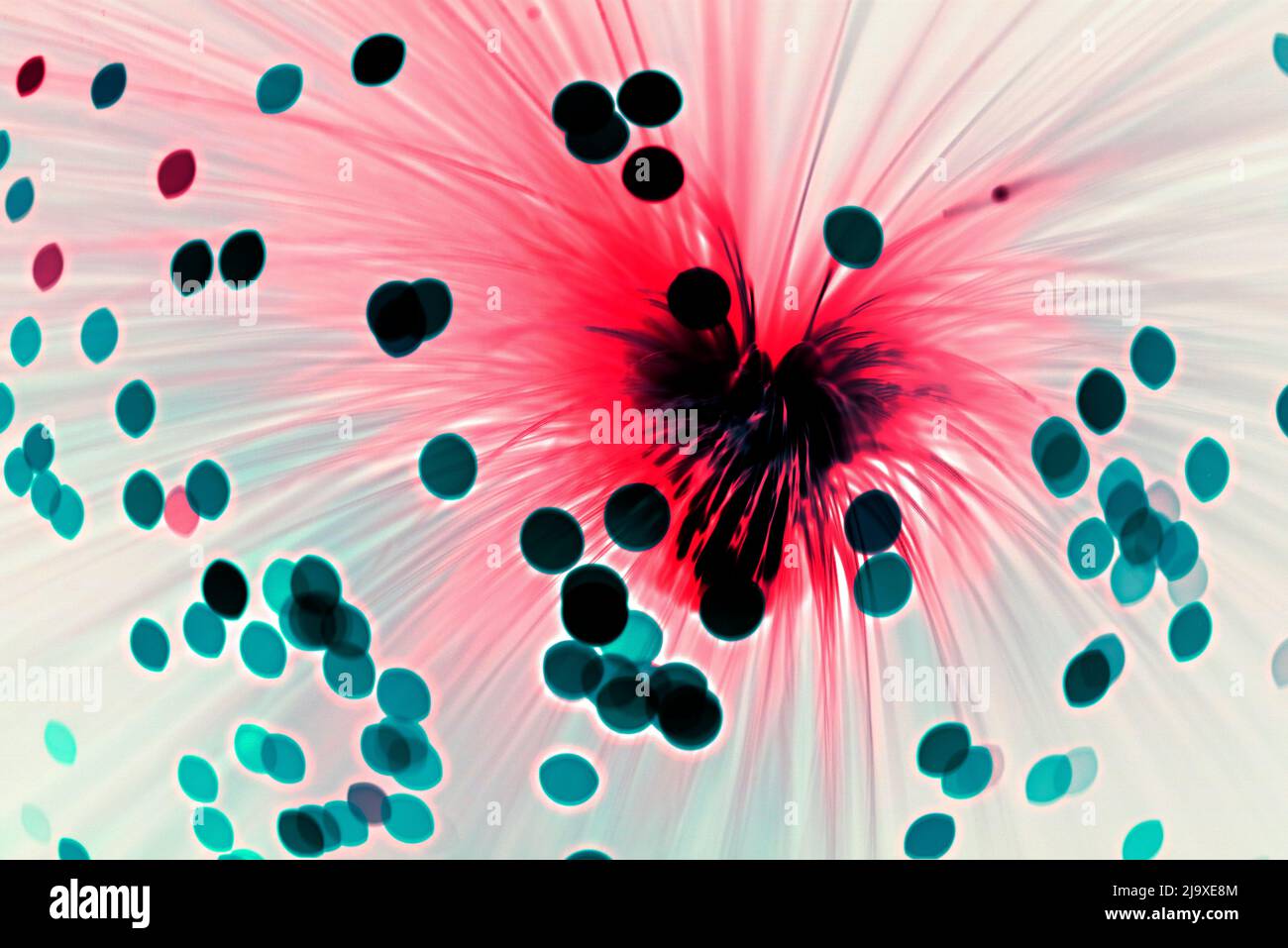 Morphing lights hi-res stock photography and images - Alamy