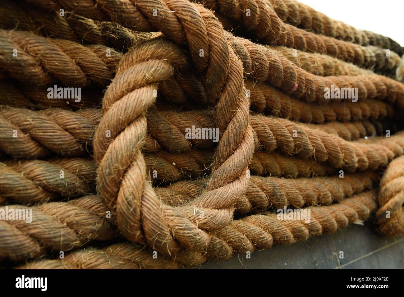 Detail of rope used at Círio de Nazaré, the largest Marian procession ...
