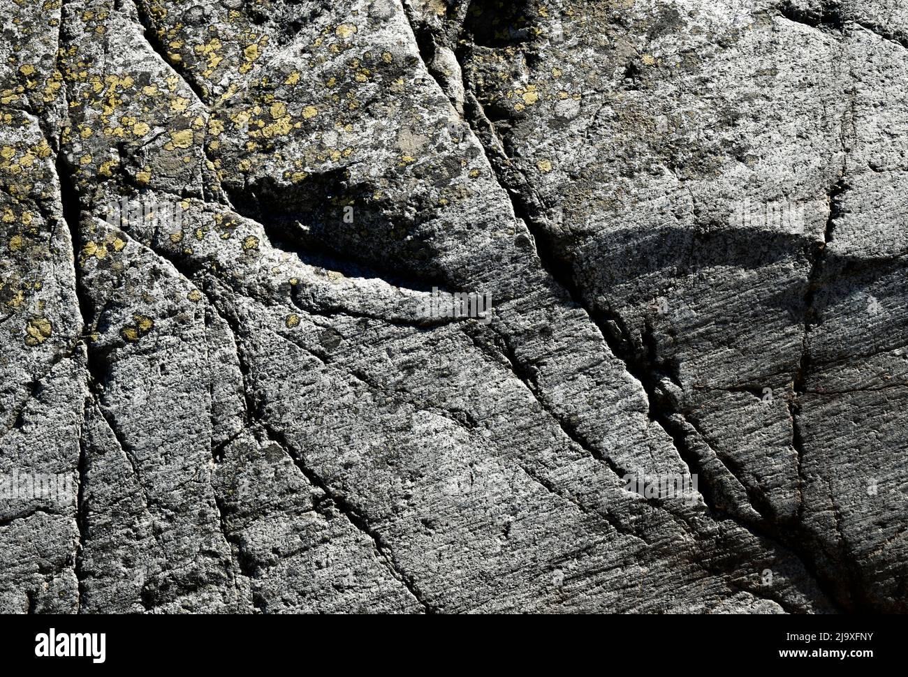nature background granite stone overgrown with yellow moss Stock Photo ...