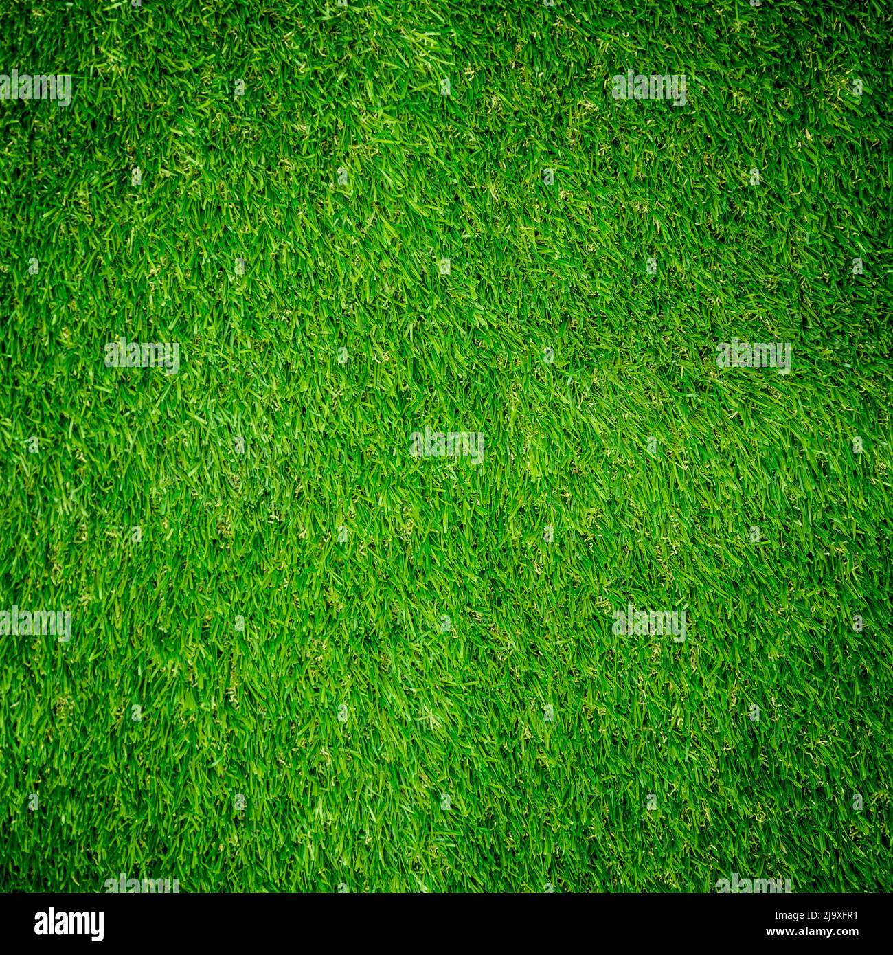 Green grass texture from soccer hi-res stock photography and images - Alamy