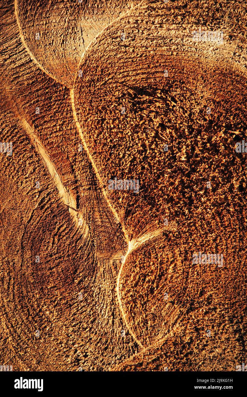 abstract background or texture cut wood grooves Stock Photo - Alamy