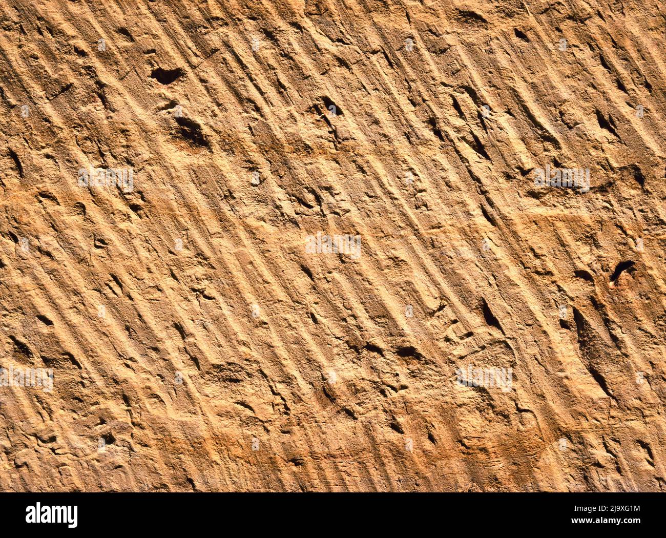 background or texture Sharpened sandstone rock texture Stock Photo - Alamy