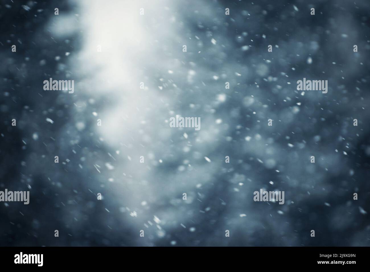 abstract winter background Snowfalls in the forest Stock Photo - Alamy