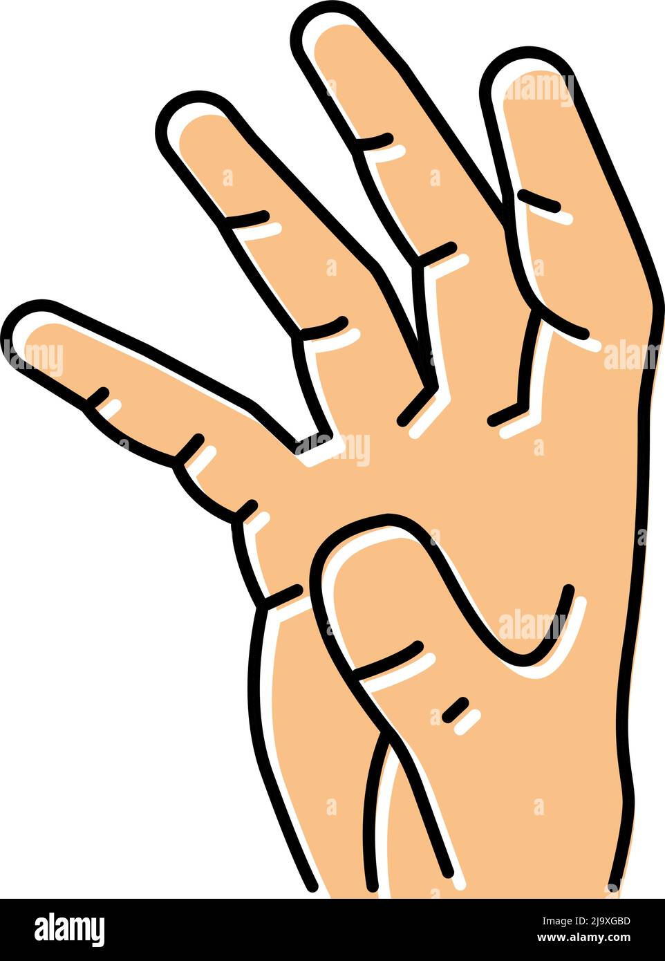 Hand Palm Vector Color