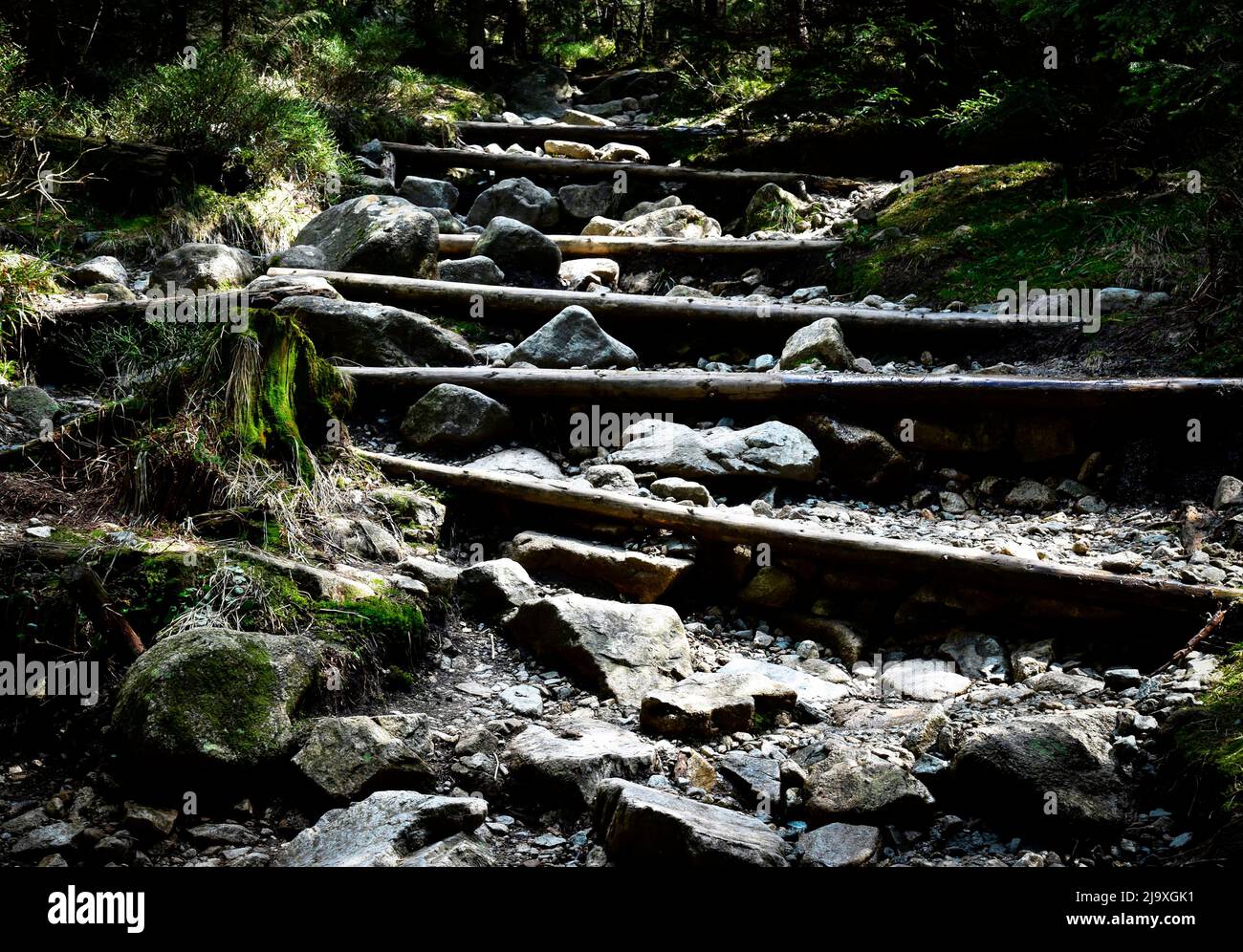 nature outdoor background stone walkway in the deep mountains Stock ...