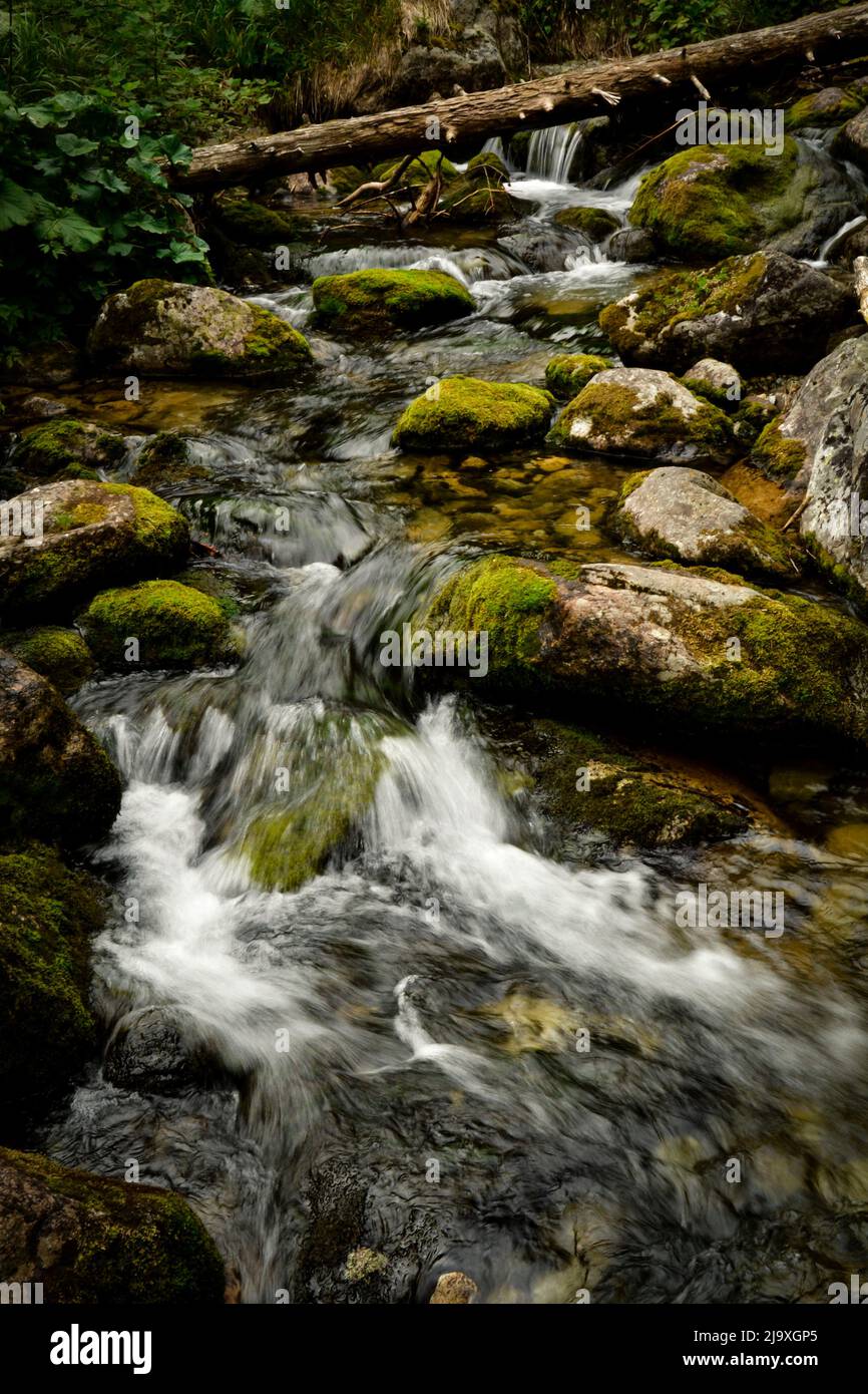 seasonal nature background Stream in the mountains Stock Photo - Alamy