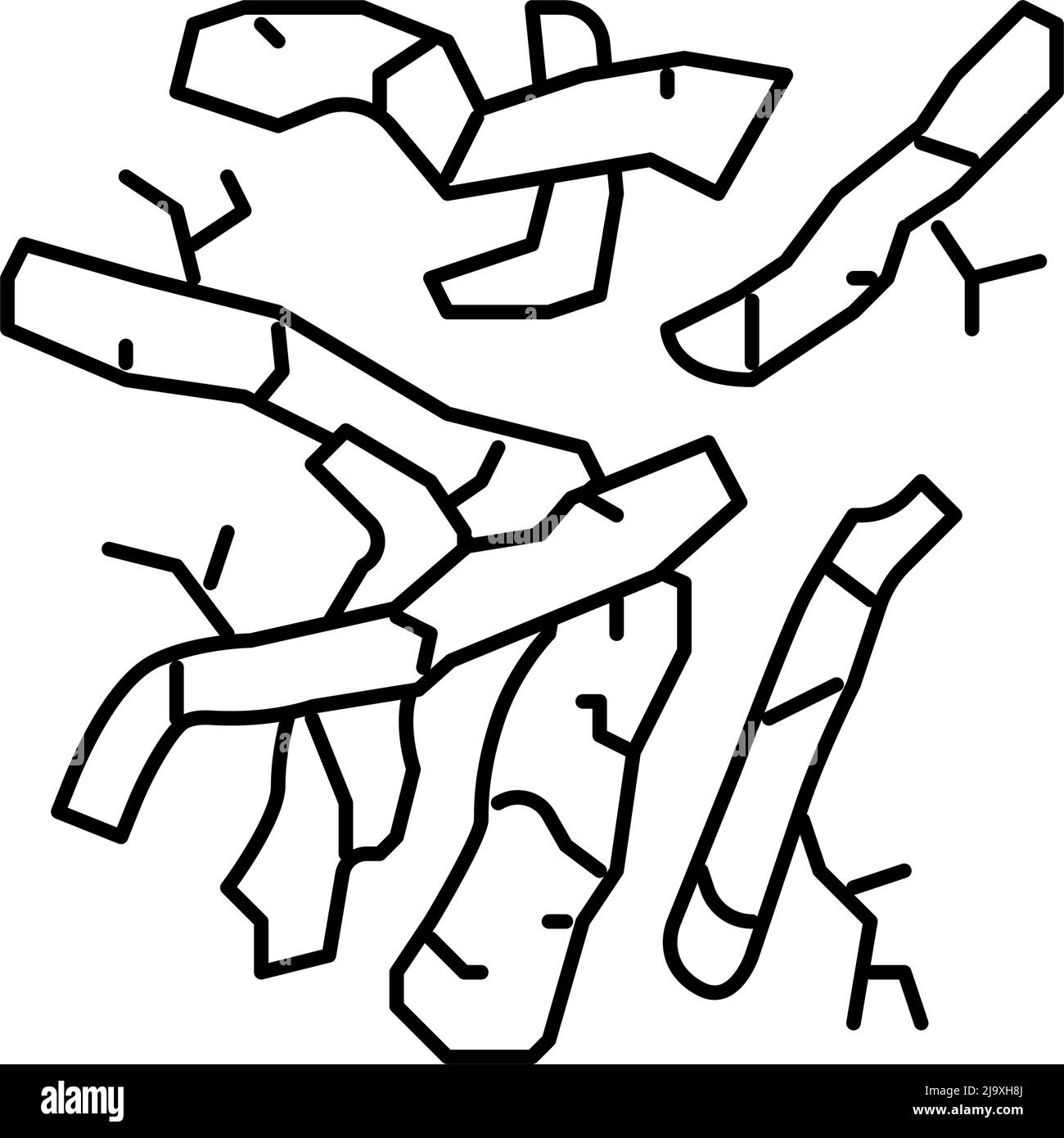 root plant line icon vector illustration Stock Vector Image & Art - Alamy