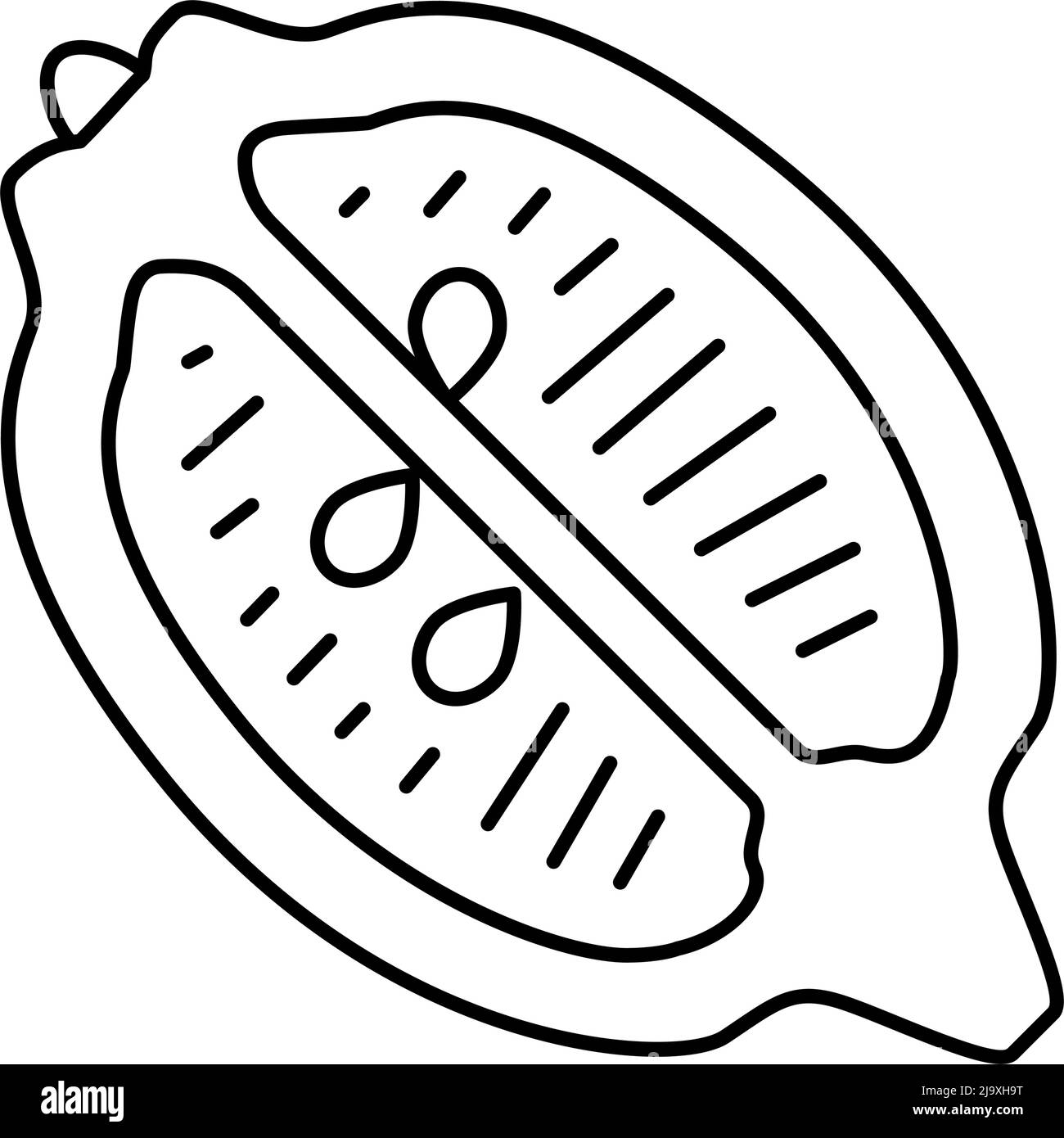 half lemon line icon vector illustration Stock Vector Image & Art - Alamy