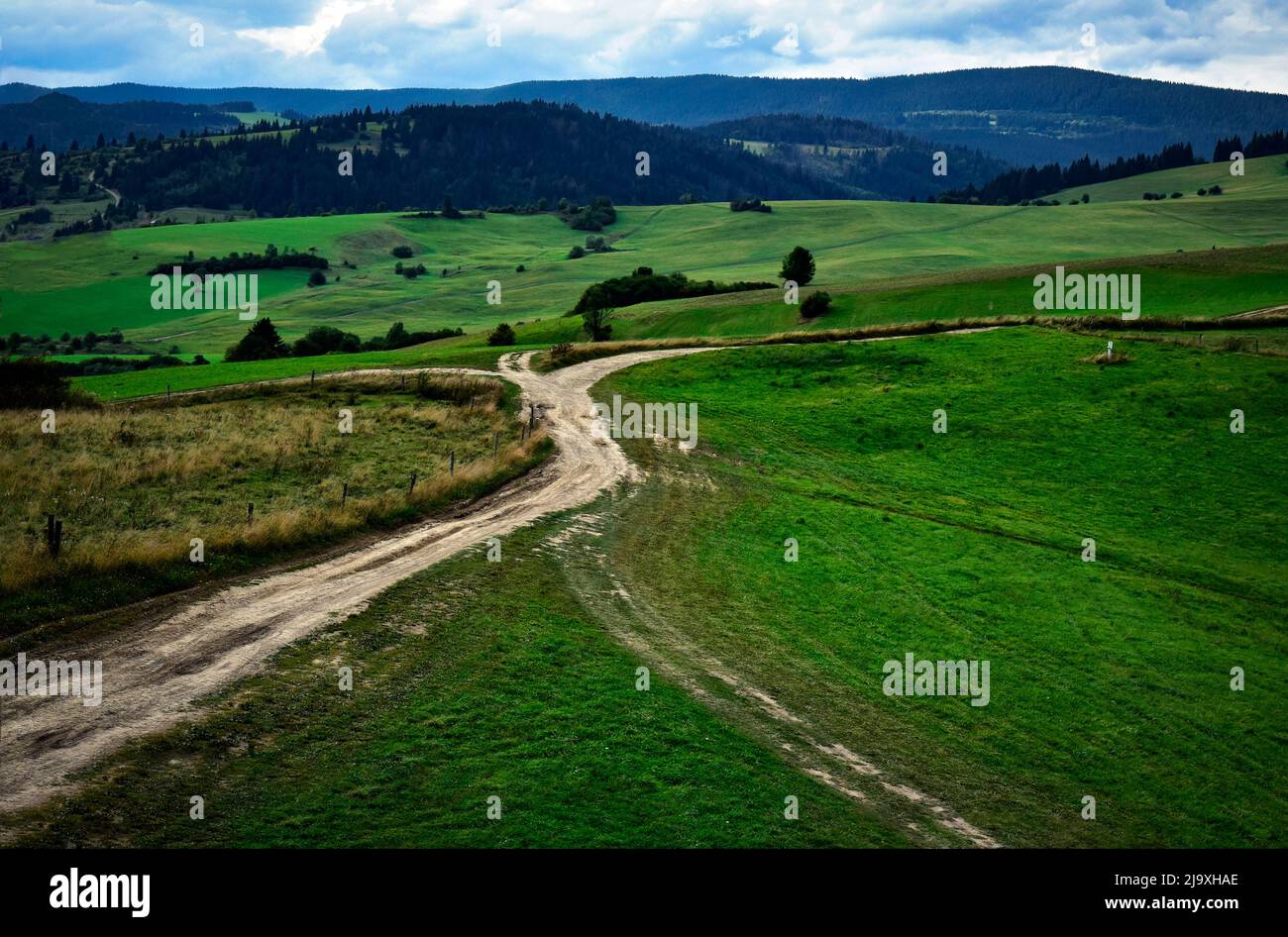 nature landscape background the crossroads of field roads in nature ...