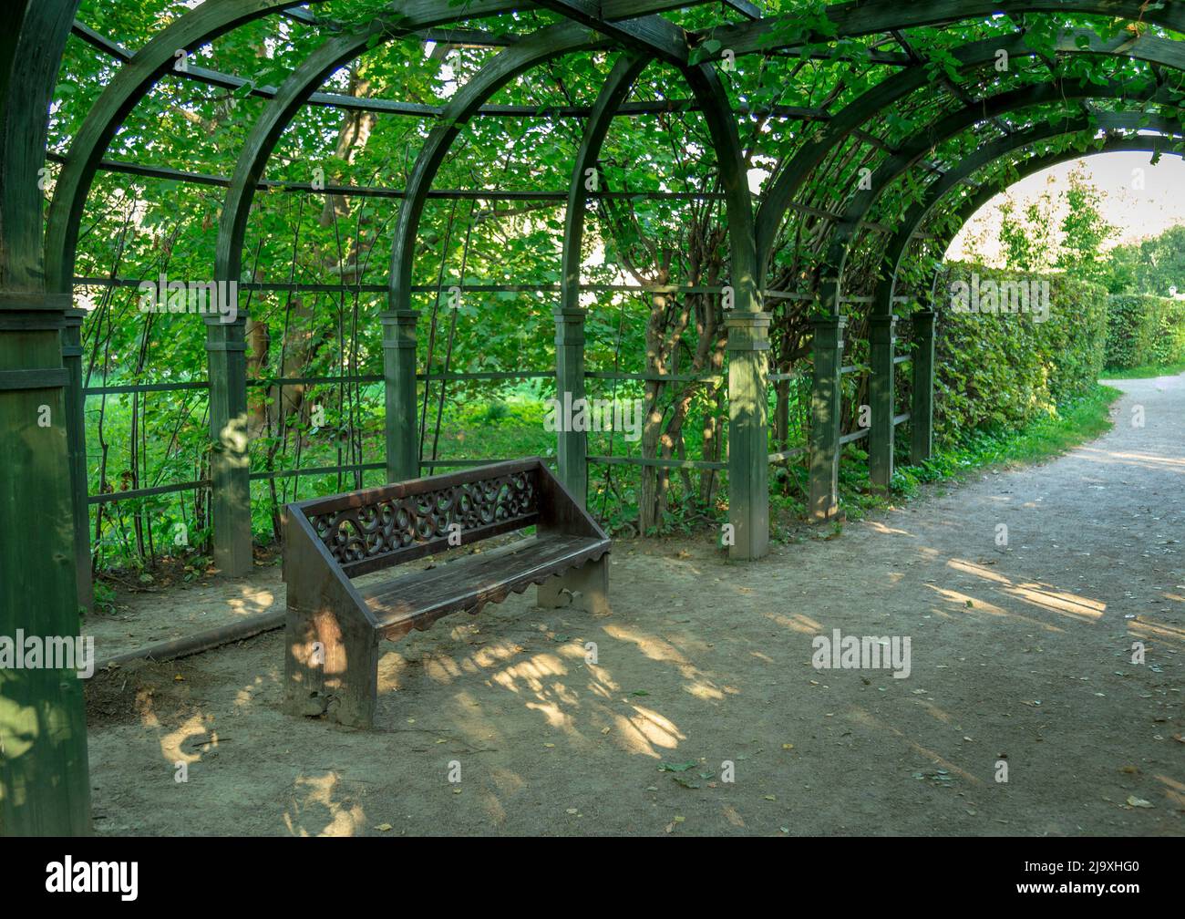 Arc of trees hi-res stock photography and images - Alamy