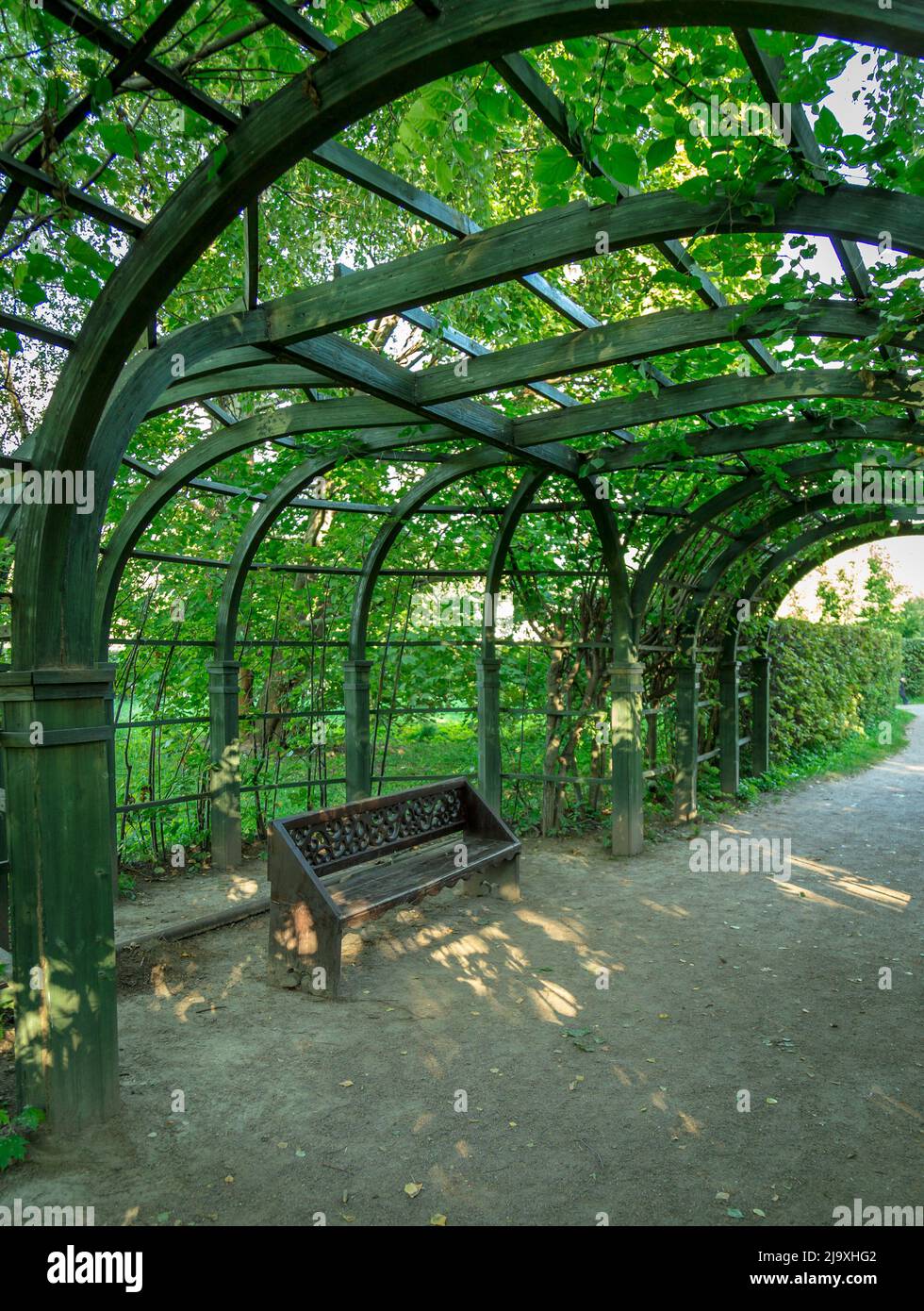 Arc of trees hi-res stock photography and images - Alamy