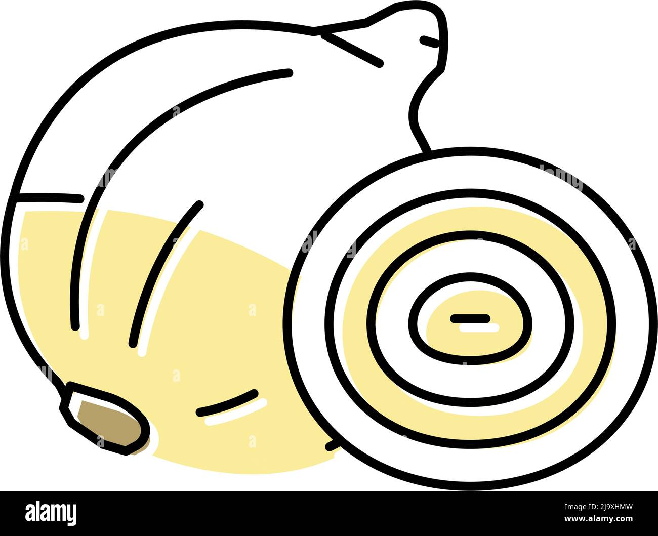 white onion color icon vector illustration Stock Vector Image & Art - Alamy