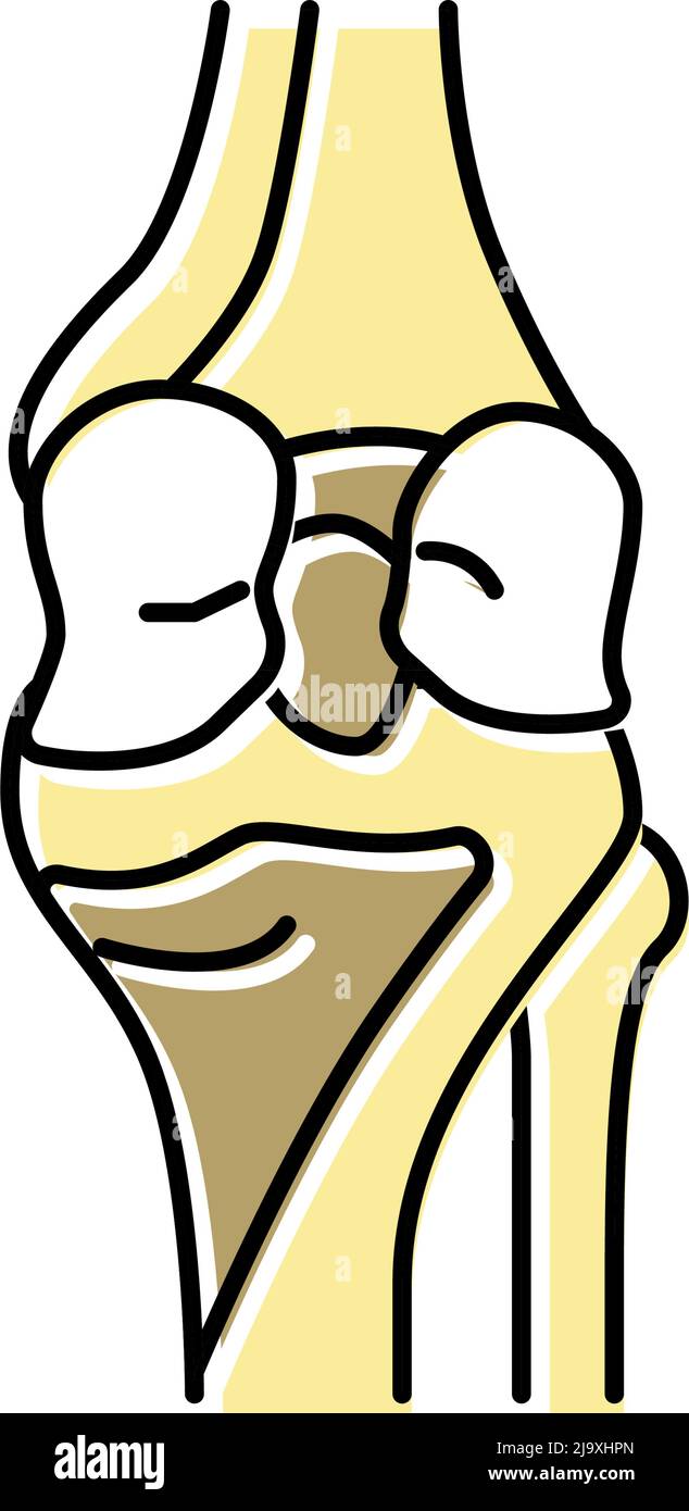knee bone color icon vector illustration Stock Vector Image & Art - Alamy