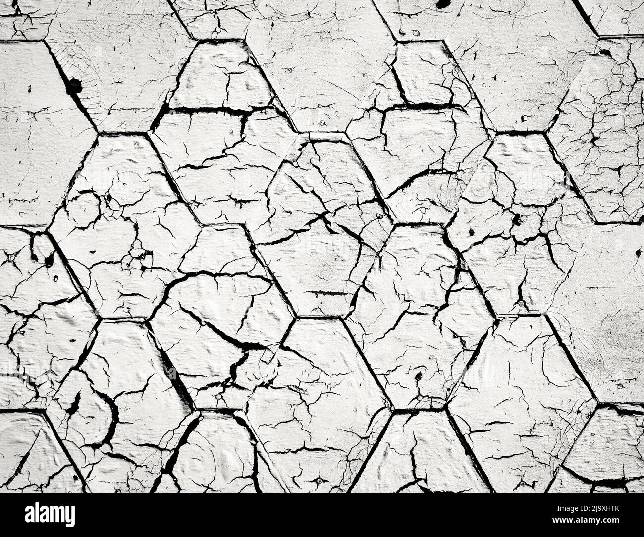 abstract background or texture the white painted asphalt shingle Stock ...
