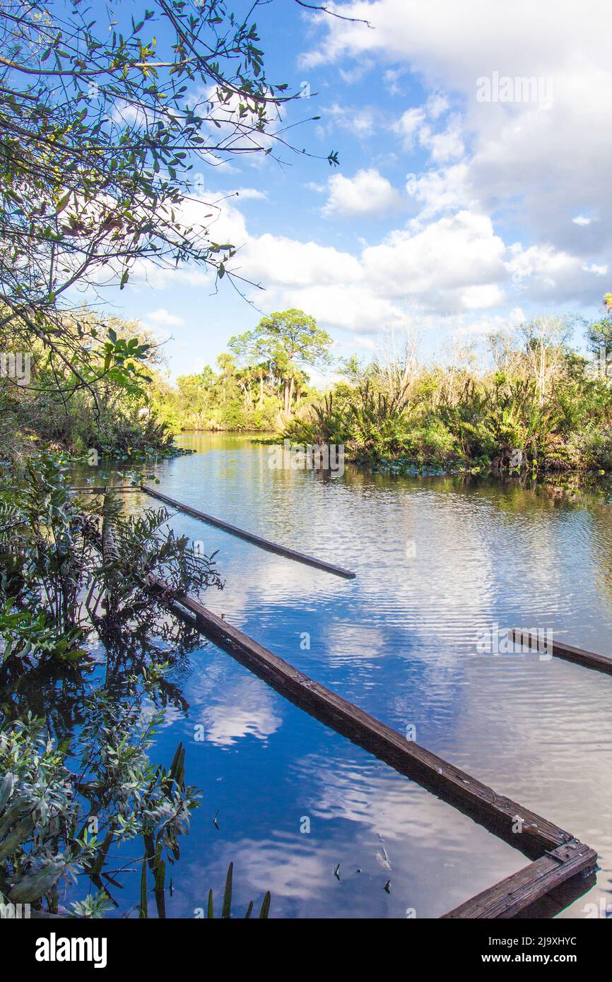 Oxbow eco-center, Fort Pierce, Florida Stock Photo - Alamy