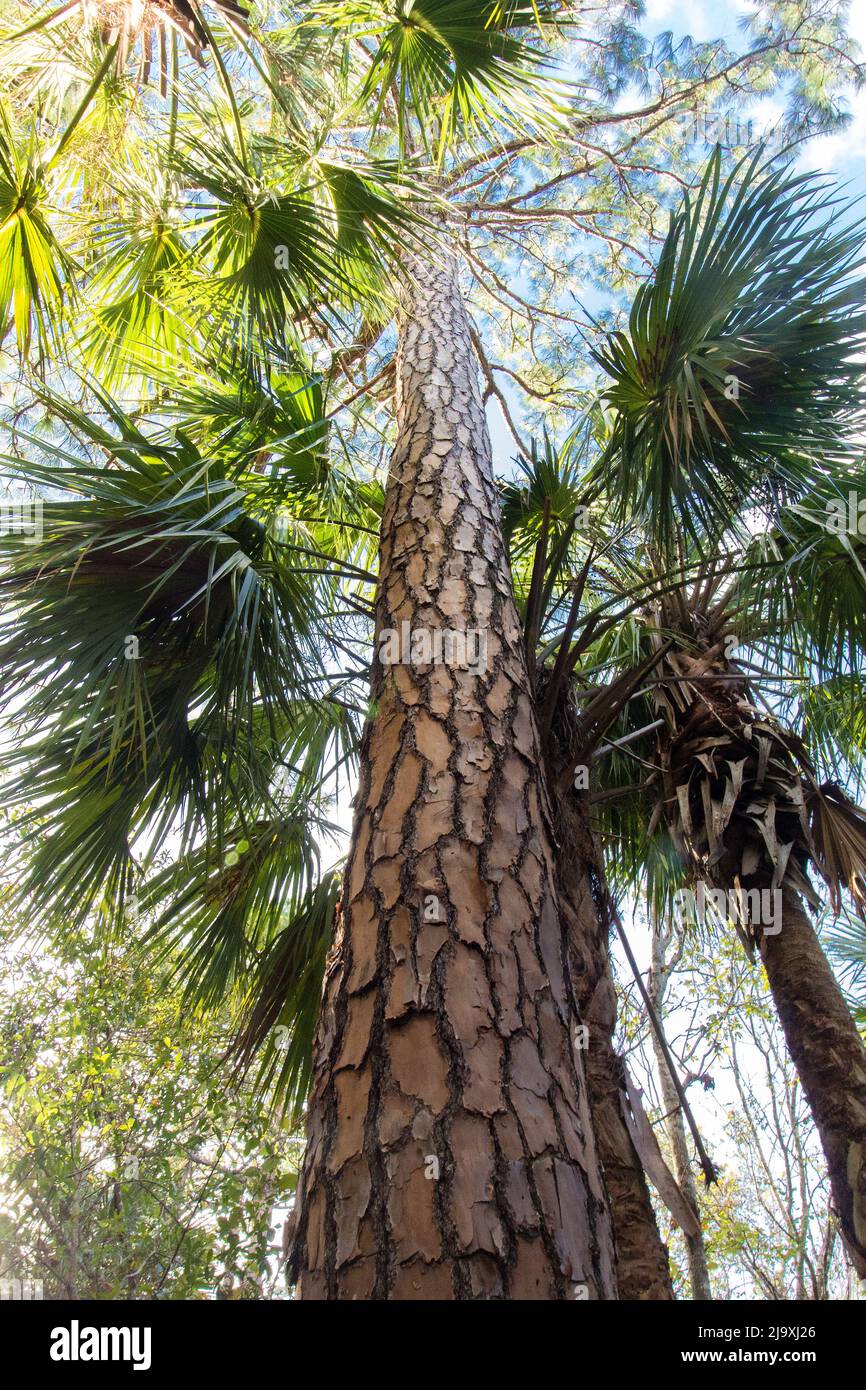 Oxbow eco center hi-res stock photography and images - Alamy