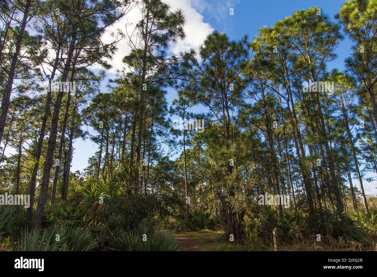 Oxbow eco center hi-res stock photography and images - Alamy