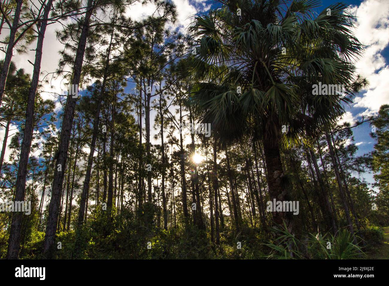 Oxbow eco center hi-res stock photography and images - Alamy