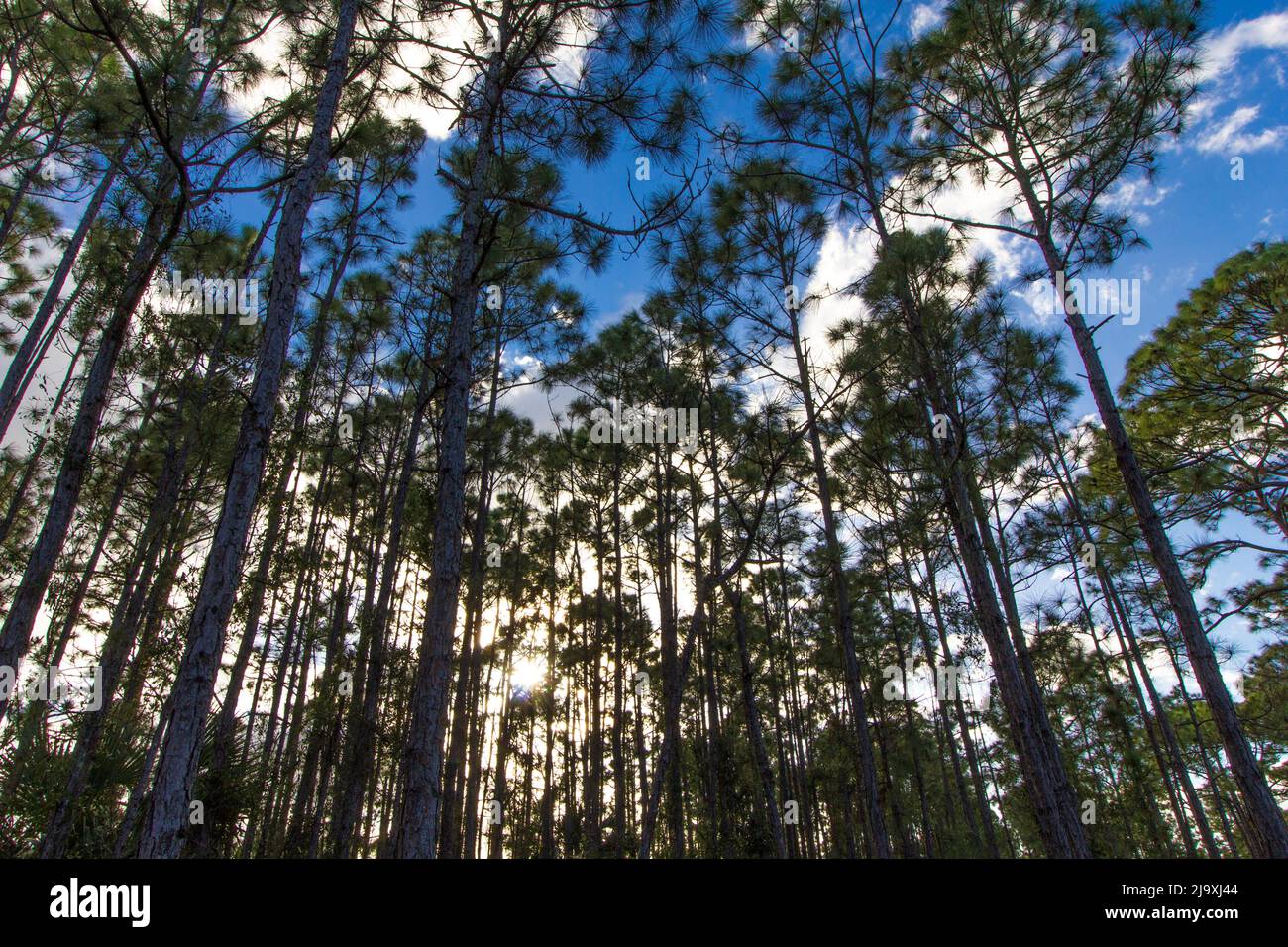 Oxbow eco center hi-res stock photography and images - Alamy