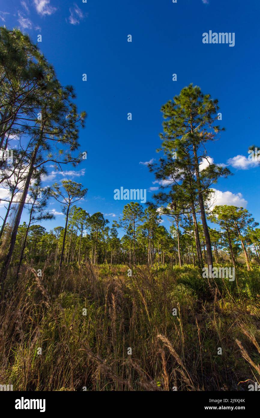 Fort pierce state park hi-res stock photography and images - Alamy