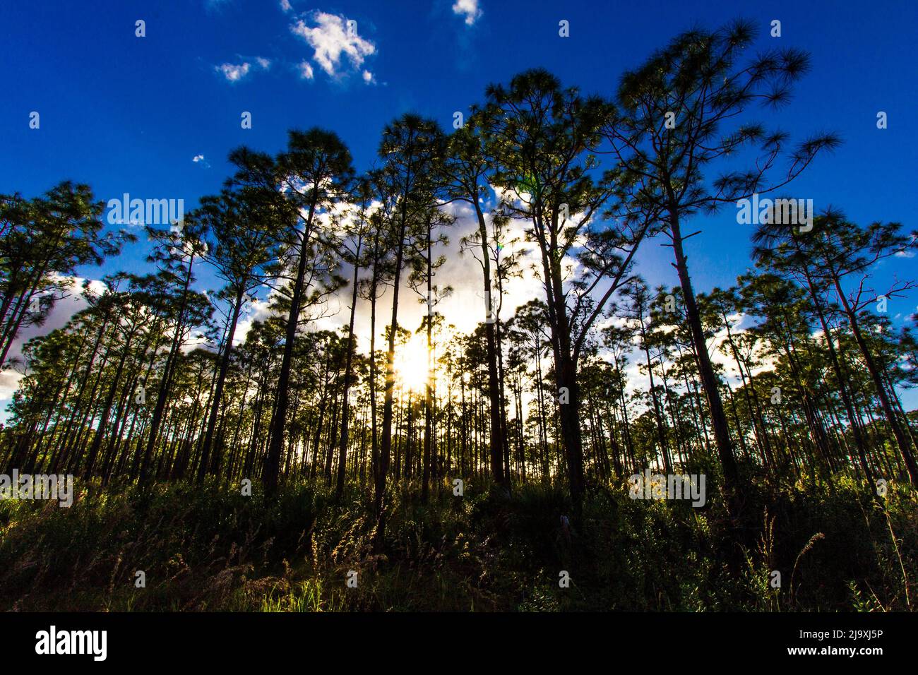 Oxbow eco center hi-res stock photography and images - Alamy