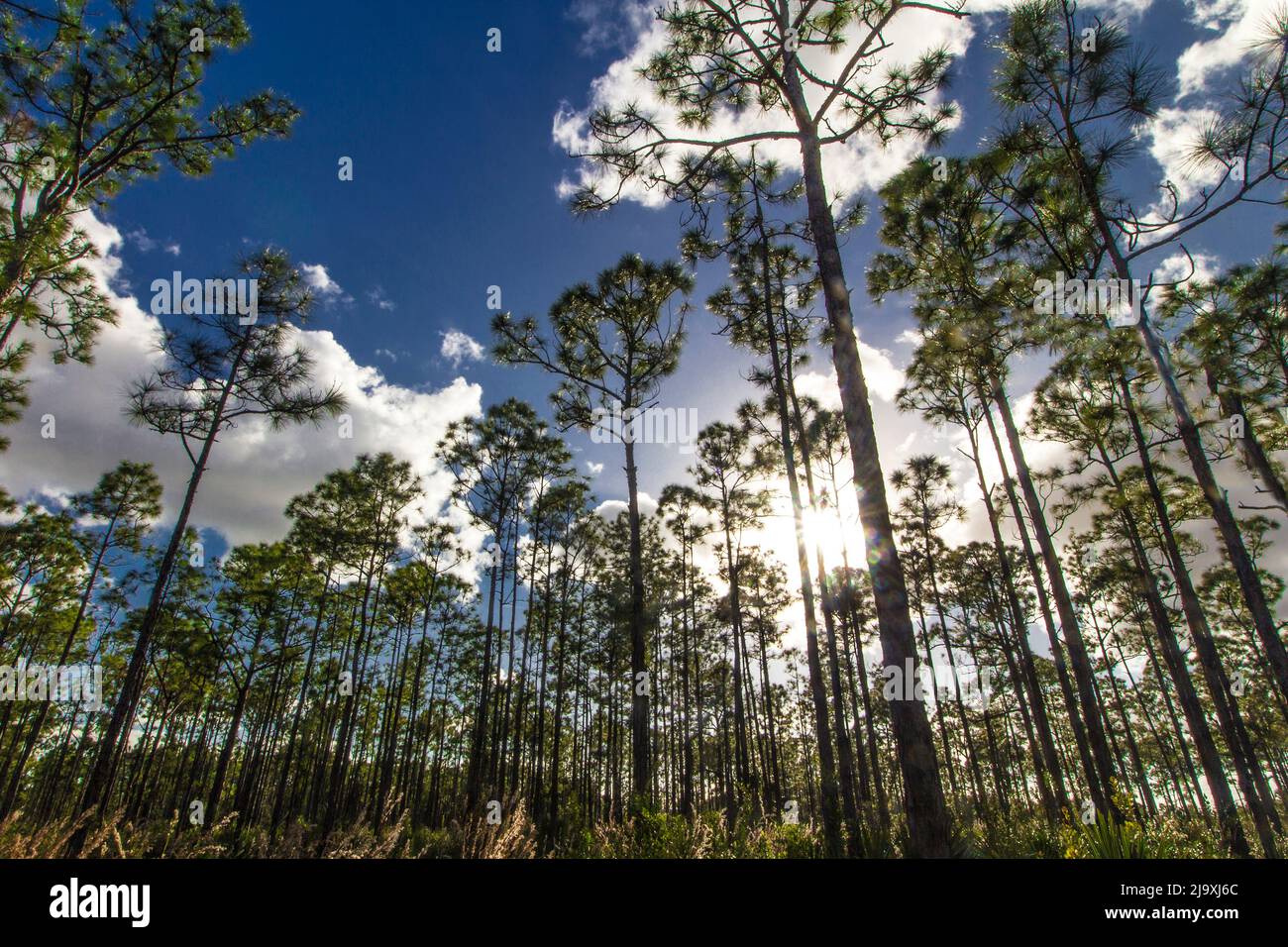Oxbow eco center hi-res stock photography and images - Alamy