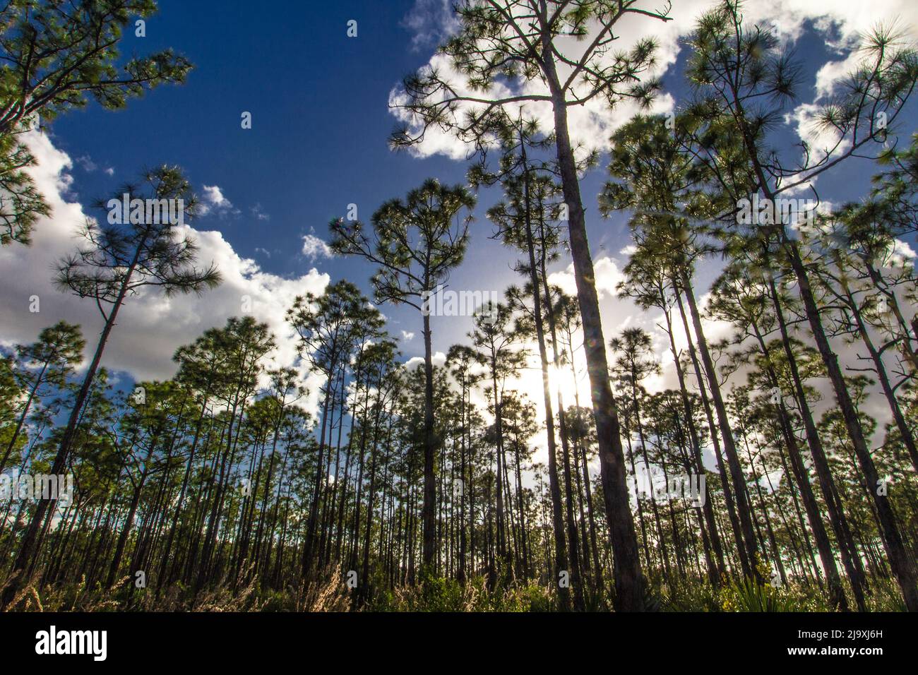 Oxbow preserve hi-res stock photography and images - Alamy