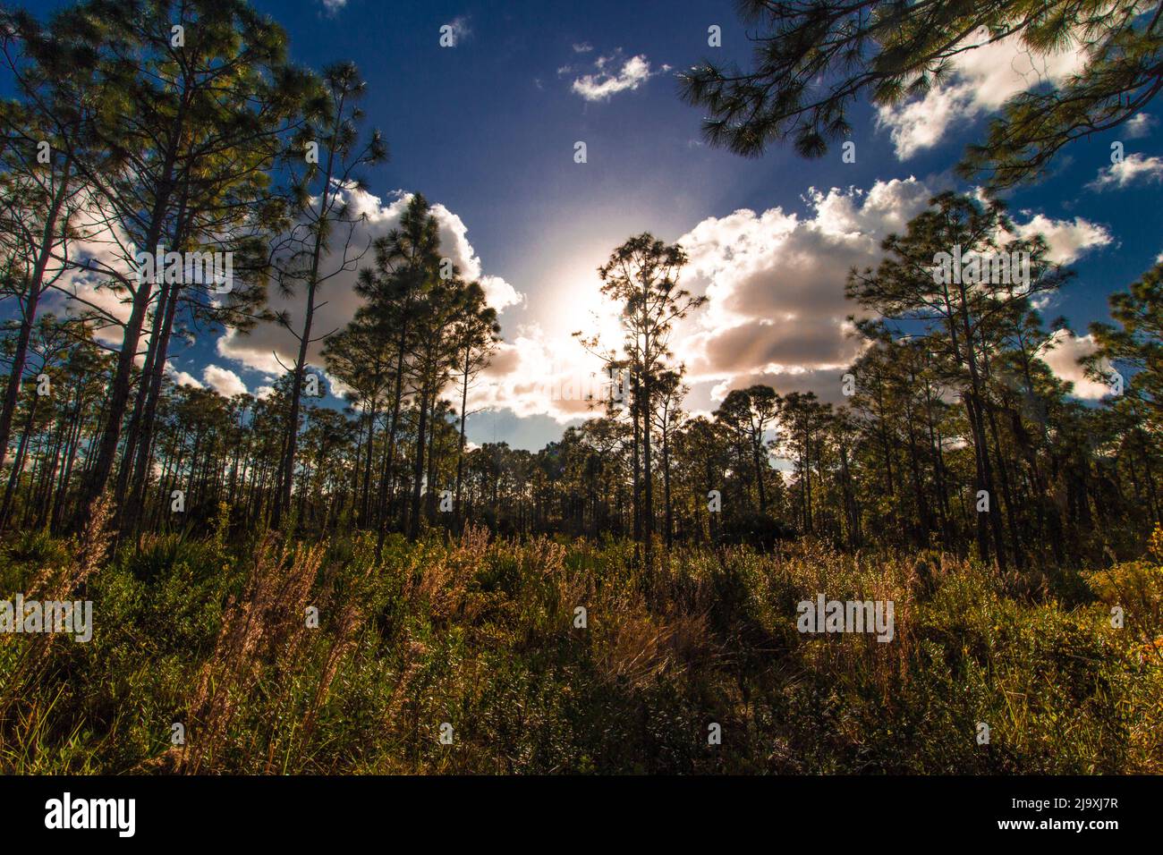 Oxbow eco center hi-res stock photography and images - Alamy
