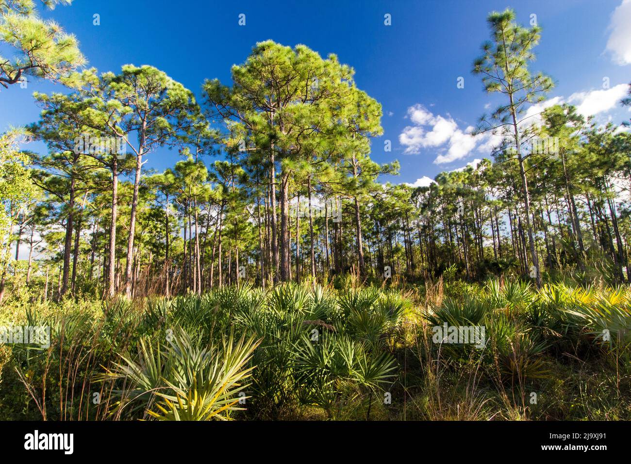 Oxbow eco center hi-res stock photography and images - Alamy
