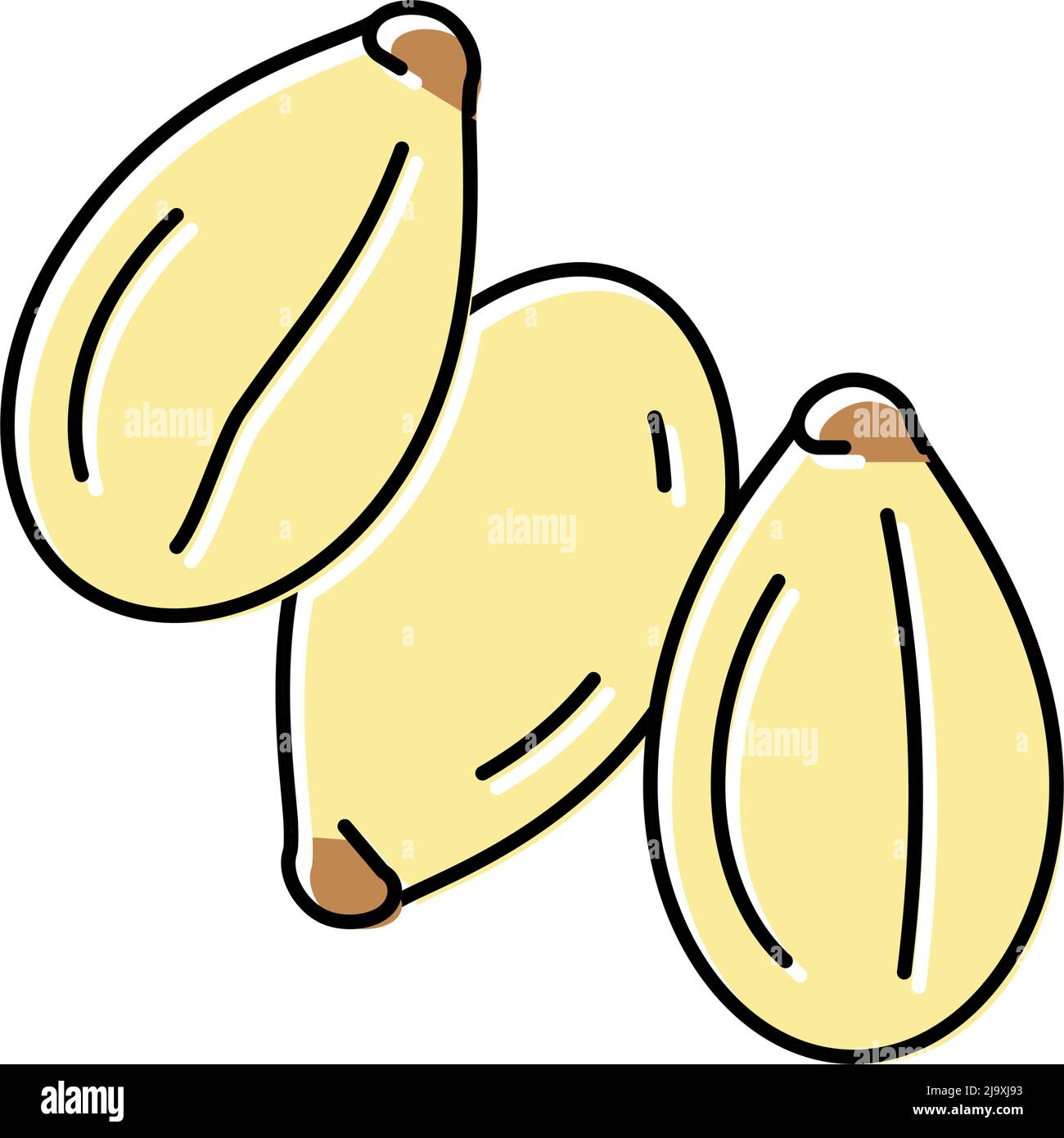 sesame seed color icon vector illustration Stock Vector Image & Art - Alamy