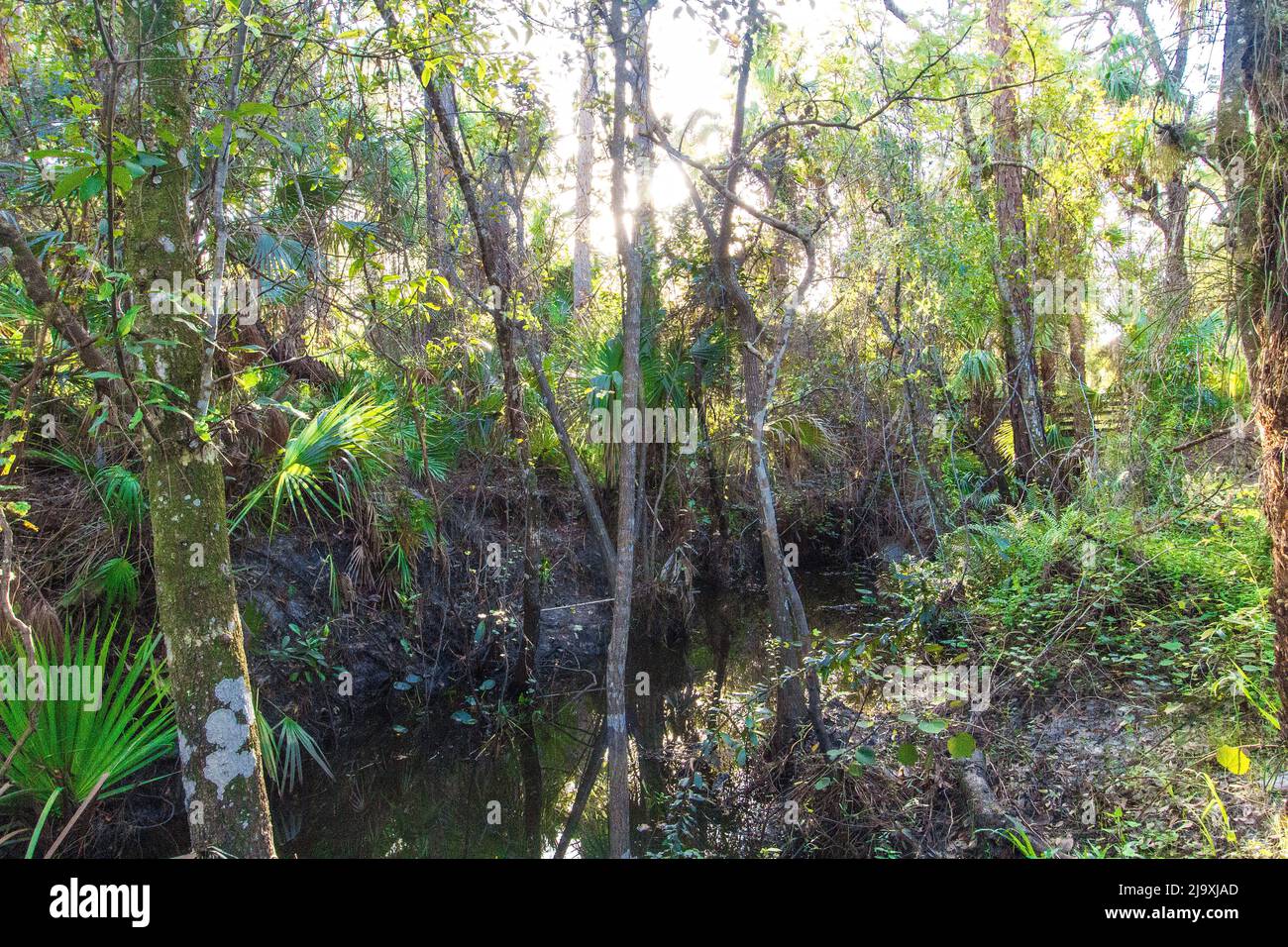 Fort pierce state park hi-res stock photography and images - Alamy