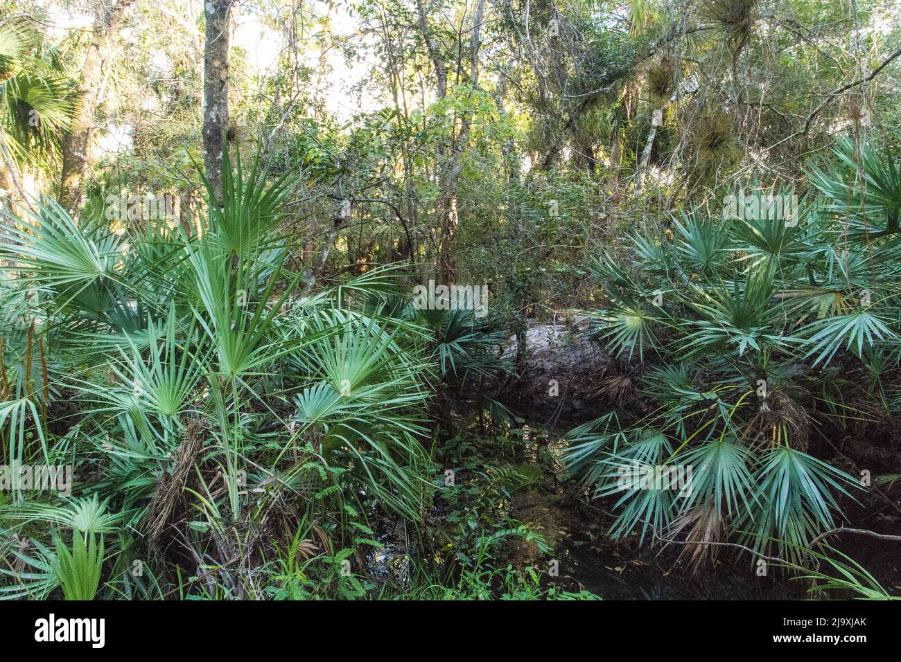 Oxbow eco center hi-res stock photography and images - Alamy