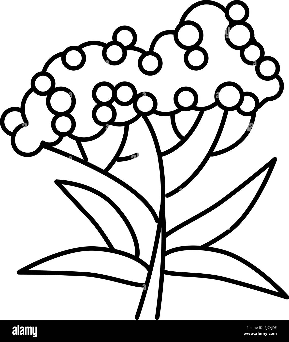 elderberry tree branch line icon vector illustration Stock Vector Image ...