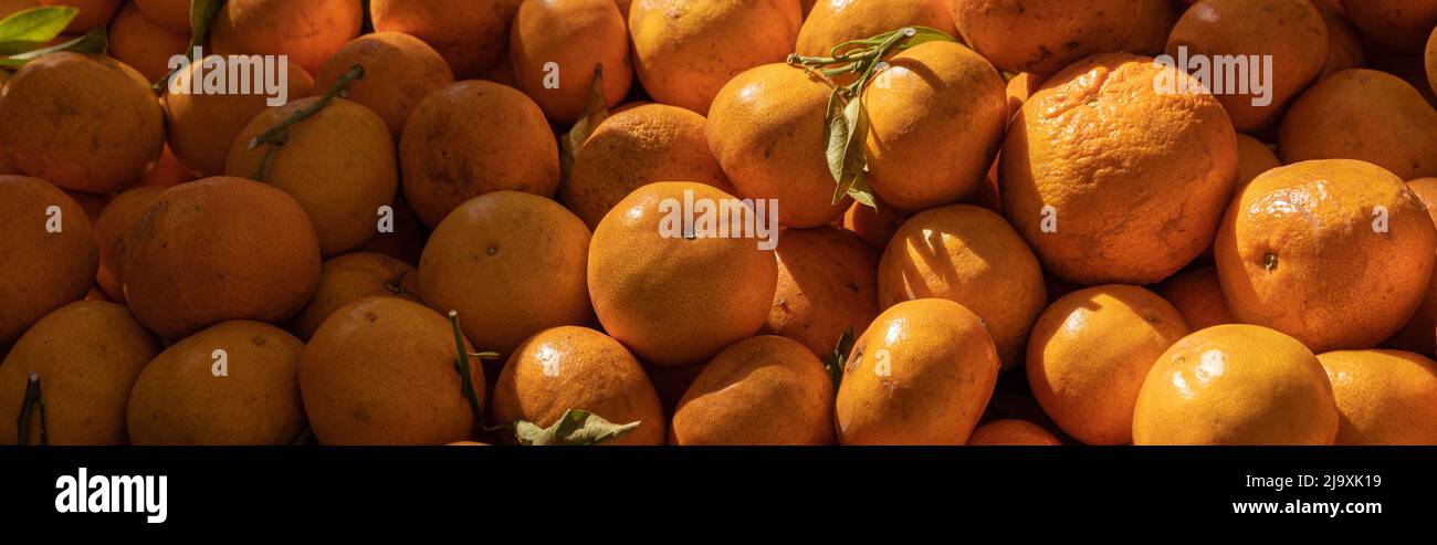 Fresh mandarines background Stock Photo - Alamy