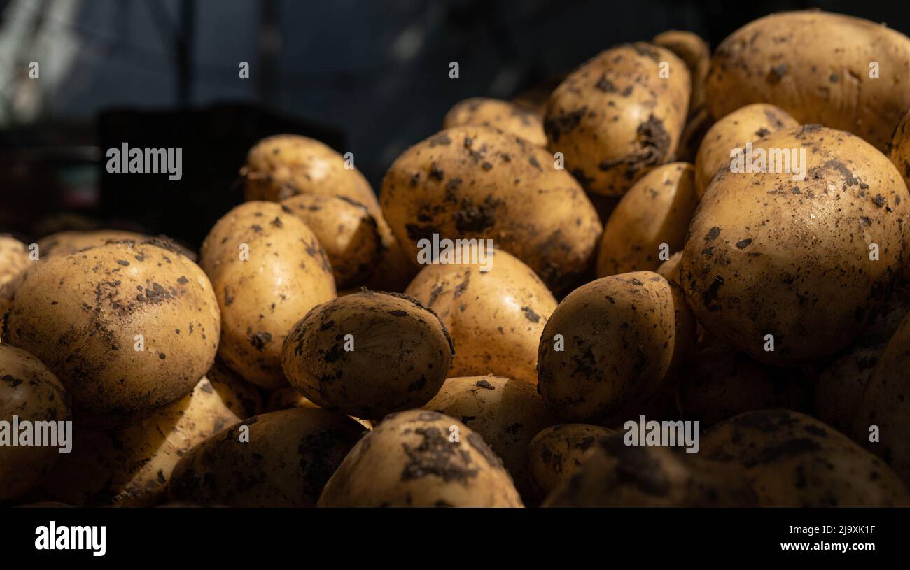 Potatoes in local market Stock Photo - Alamy