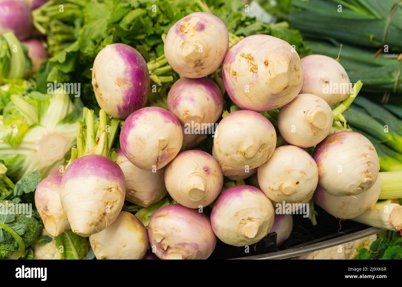 Fresh turnip at farmers market stall ready for sale Stock Photo - Alamy