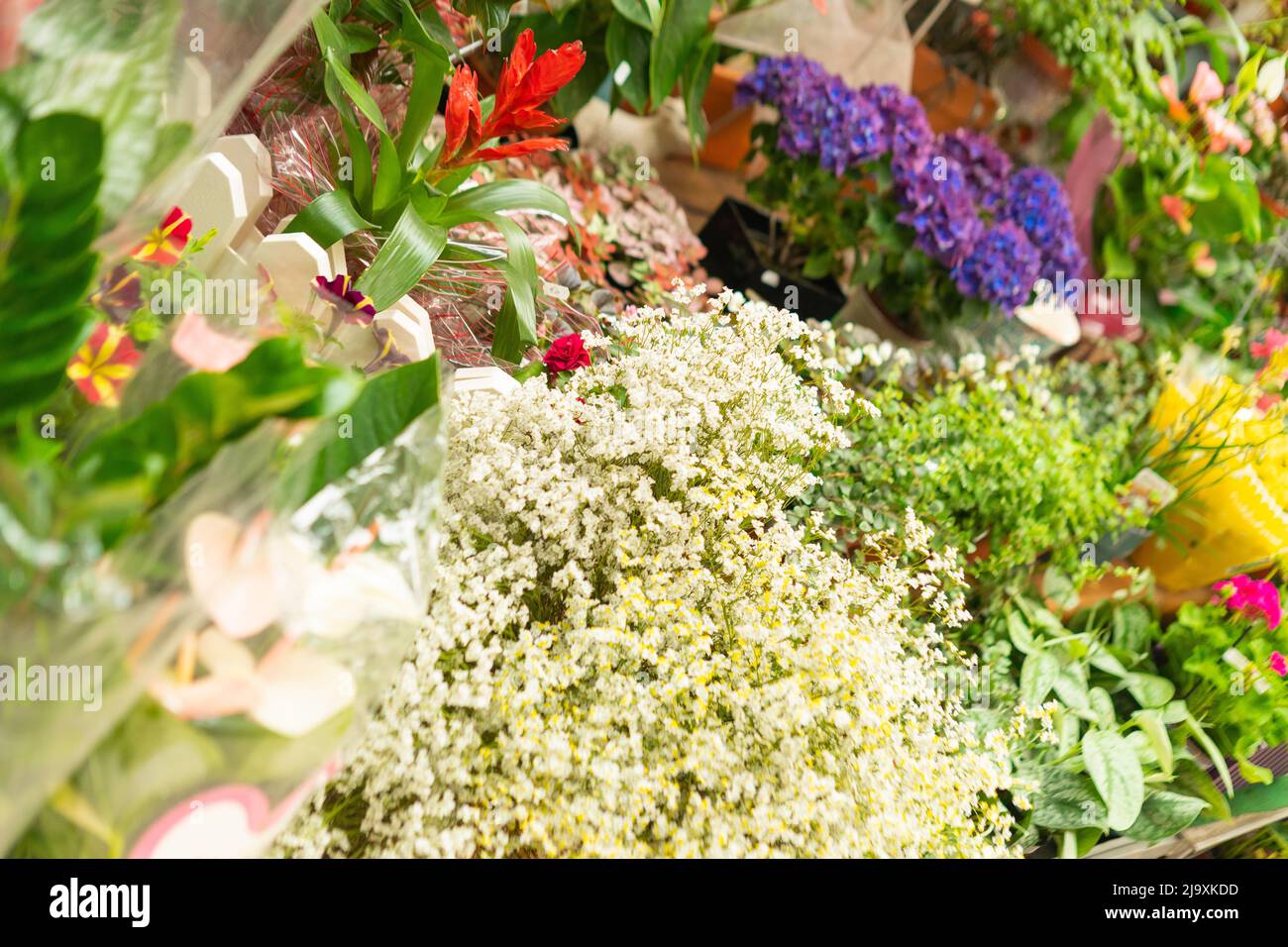 floral texture background in market showcase Stock Photo - Alamy