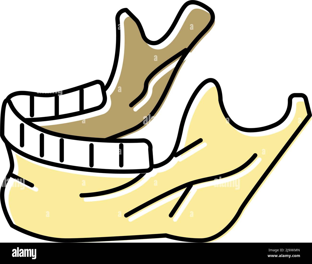 jaw bone color icon vector illustration Stock Vector Image & Art - Alamy