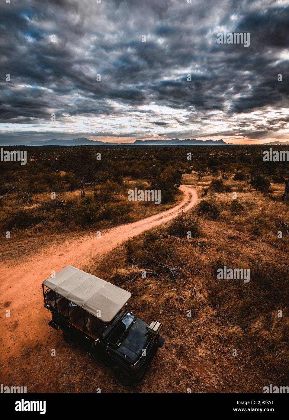 Safari vehicle in the South Africa bush, Kruger National Park Stock ...