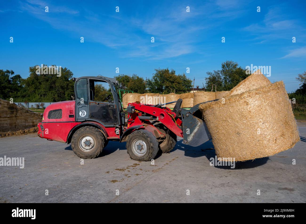 Farmer unloading round bales of straw with a front end loader Storing ...