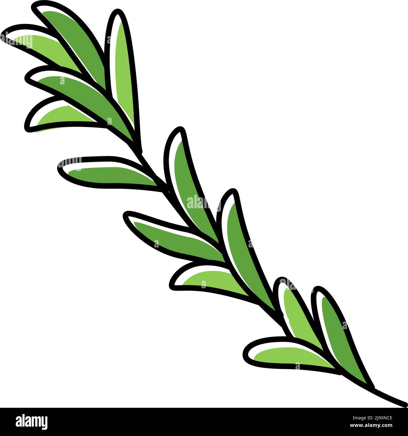 rosemary branch color icon vector illustration Stock Vector Image & Art ...