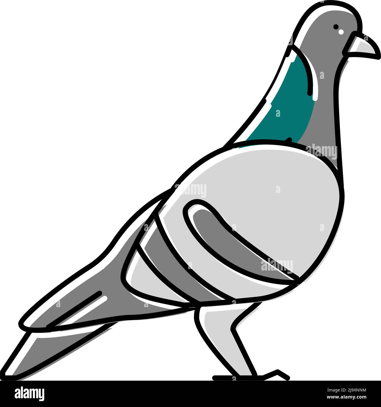 pigeon bird color icon vector illustration Stock Vector Image & Art - Alamy