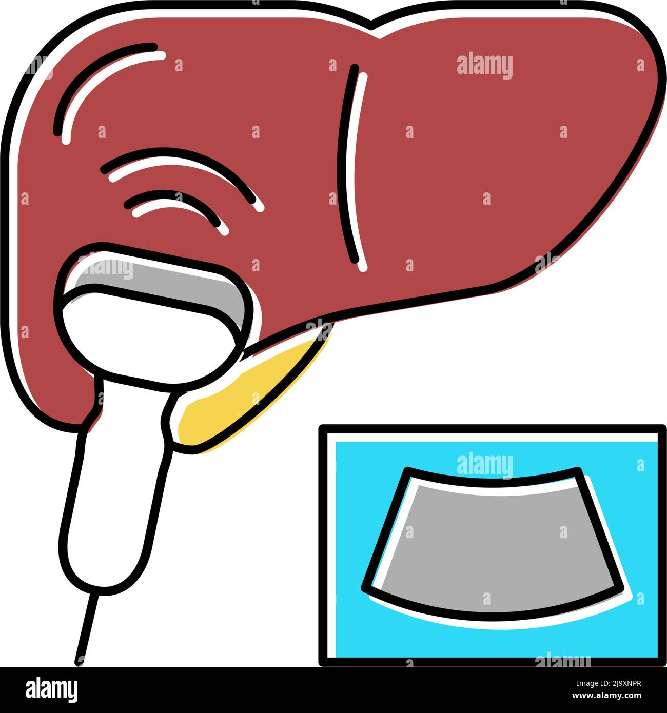ultrasound liver color icon vector illustration Stock Vector Image ...