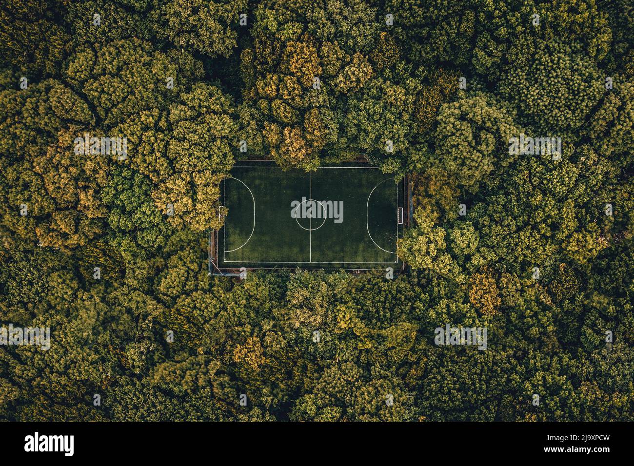 Top view of a soccer field in the forest, tall trees around the stadium ...